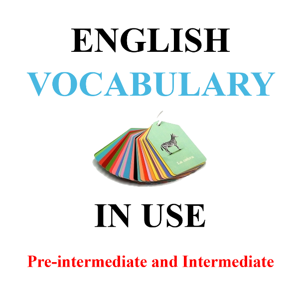 English Vocabulary in Use Pre-intermediate and Intermediate